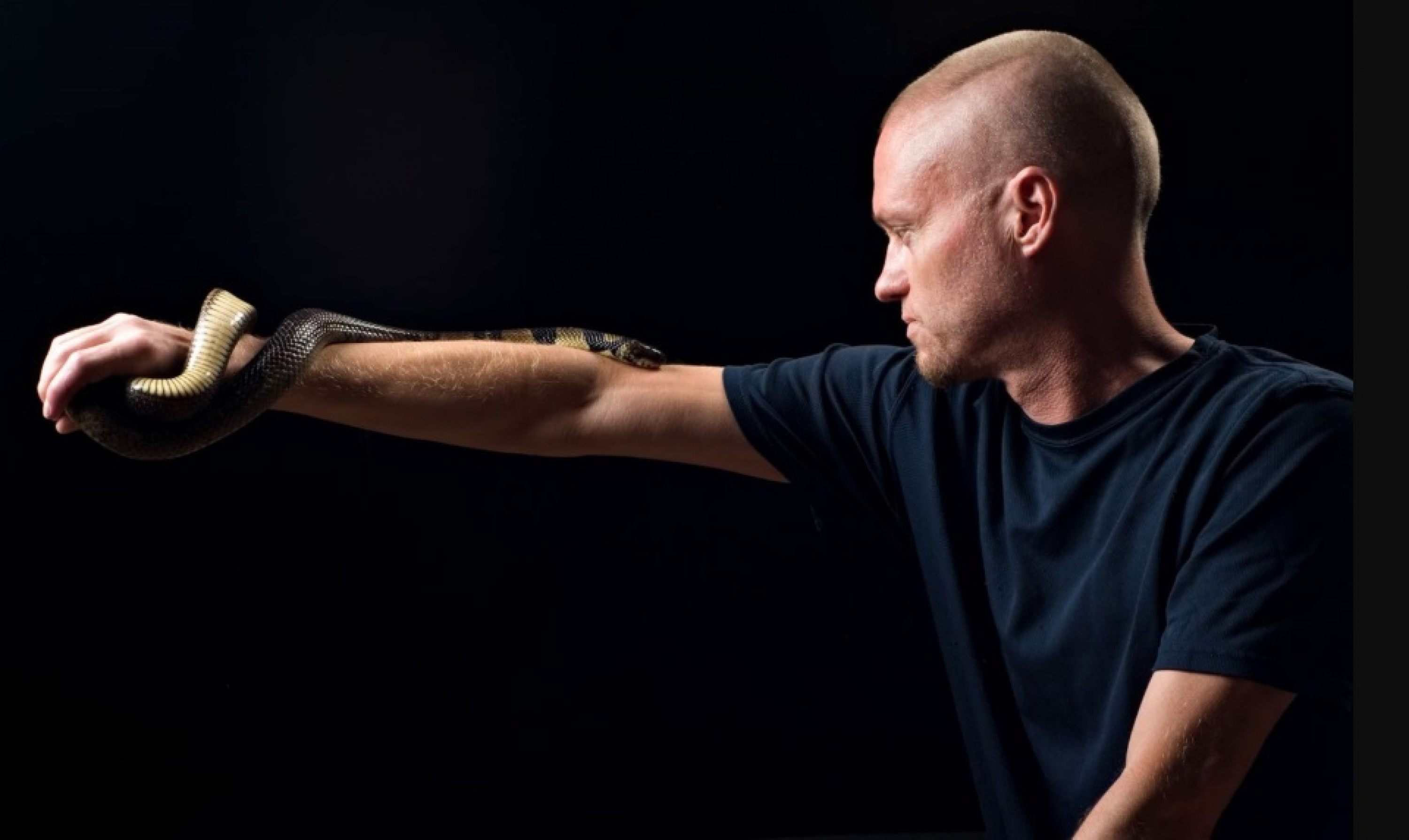 Tim Friede immúnissá vált a mérges kígyó harapásra | Cool.hu